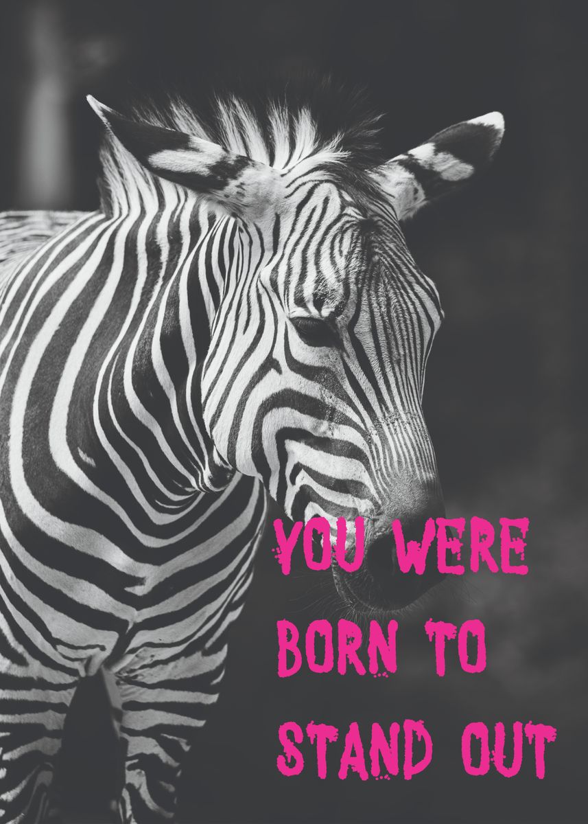 'Zebra Stand Out' Poster, picture, metal print, paint by ...