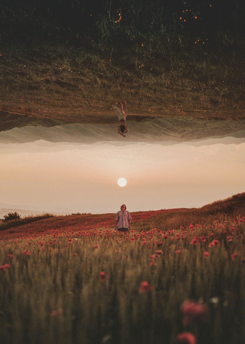 'two worlds' Poster, picture, metal print, paint by Trigonal Art | Displate